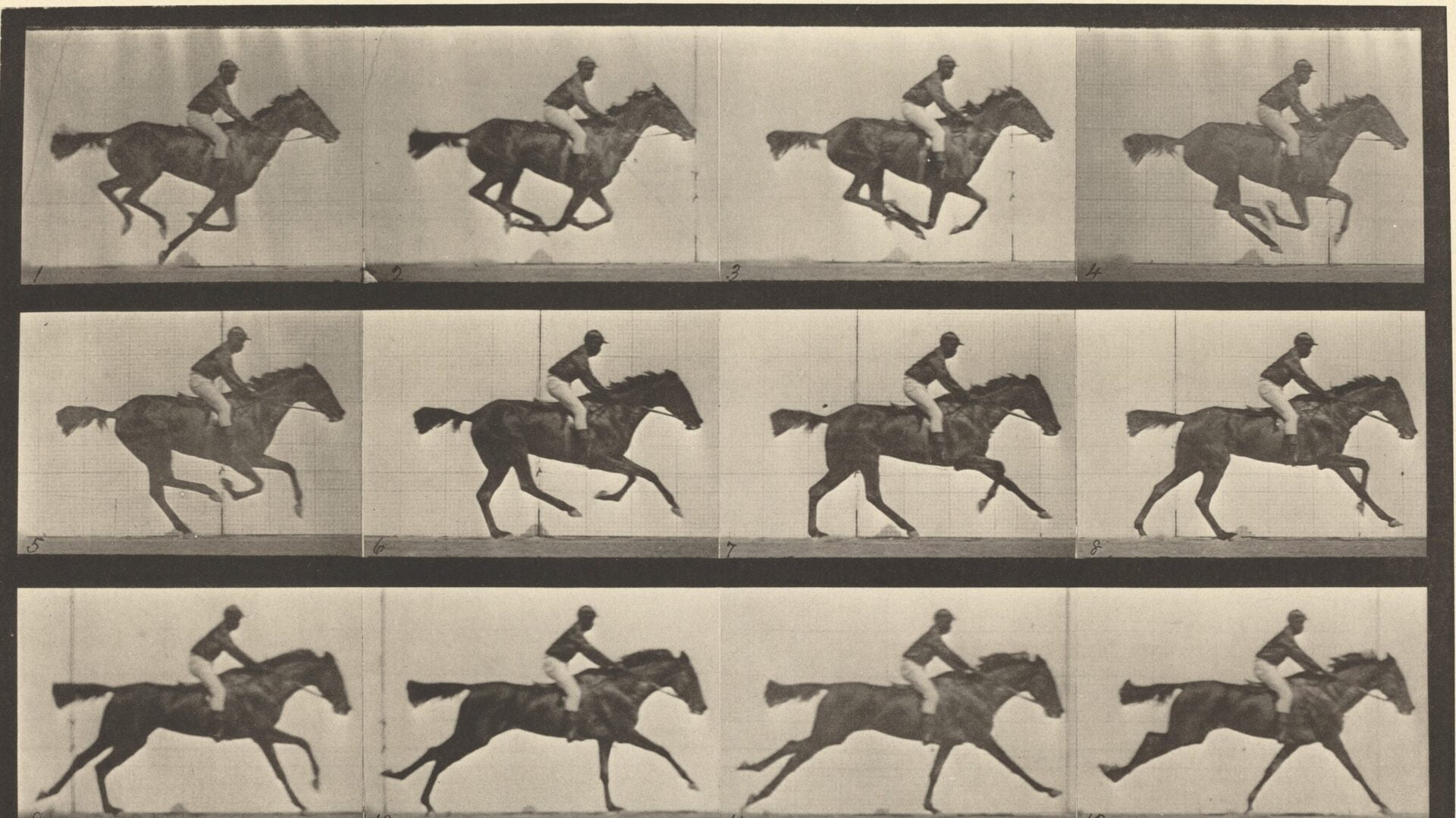 Nope : การกดขี่ที่ถูกลบเลือนจากประวัติศาสตร์คือพี่ร้ายในฟาร์มที่ไม่มี ...